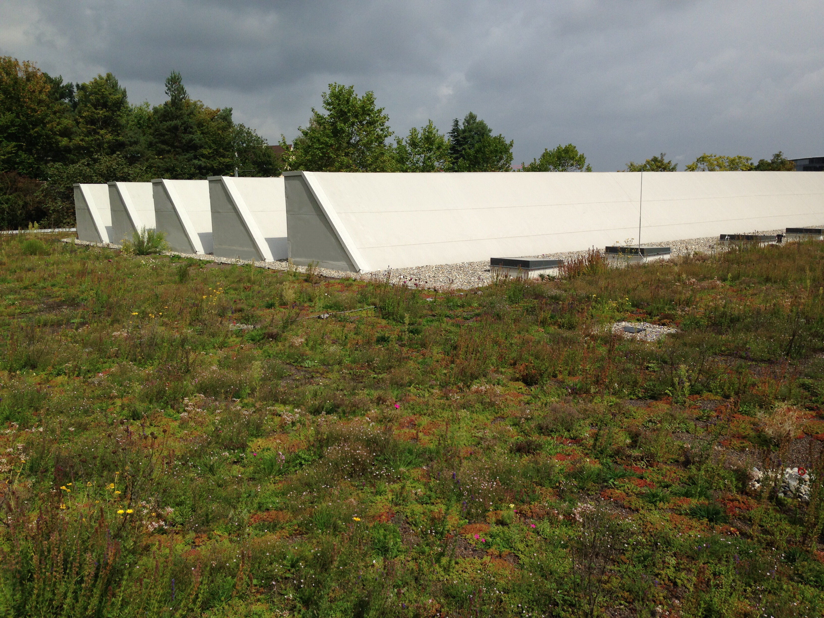 POLYFIN AG Kunststoff-Abdichtungs aus FPO/TPO und ECB