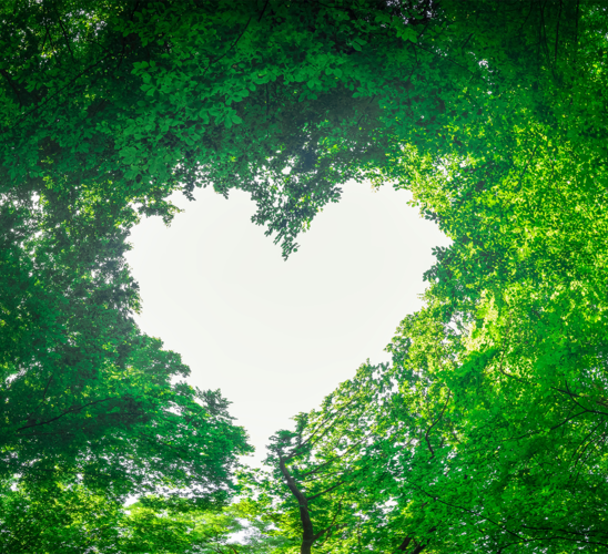 POLYFIN AG Kunststoff-Abdichtungs aus FPO/TPO und ECB